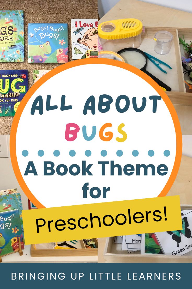 Bug Book Theme for Preschoolers: Teaching Preschoolers About Bugs